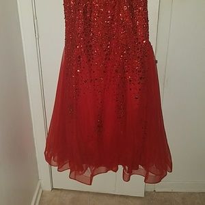 Shingar | Dresses | Ruby Red Crystal Encrusted Mermaid Prom Dress ...